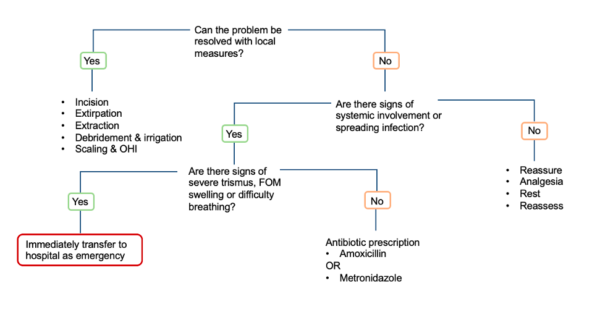 A dental student's guide to...antibiotics – Dentistry Online