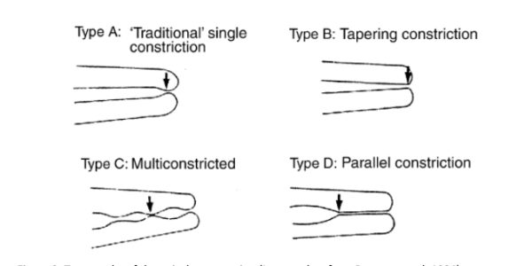 The endo expert – working length and apex locators – Dentistry Online