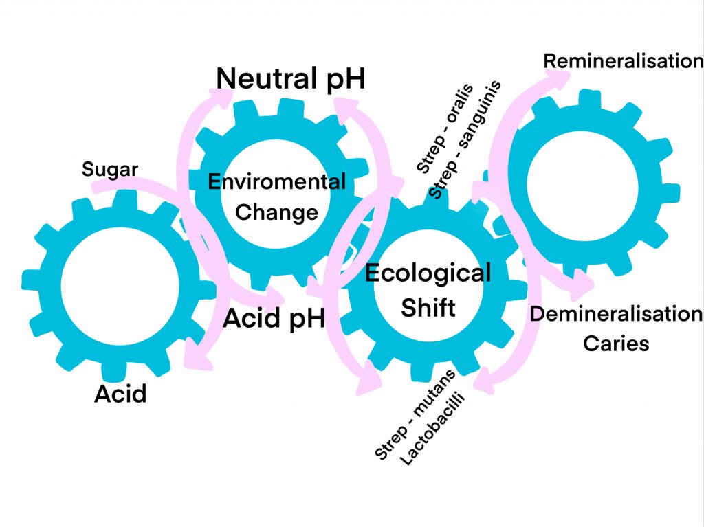 Dr Heff's – the science behind the mint - Dentistry Online
