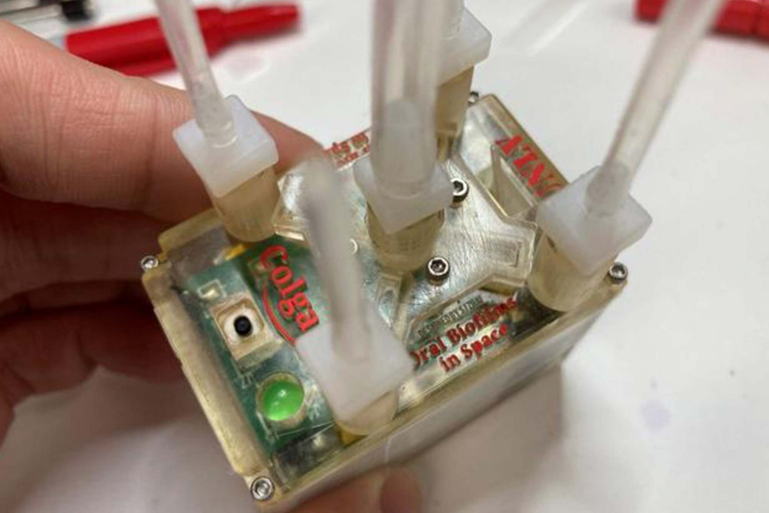 Oral healthcare experiment sent into space for dental research - Dentistry
