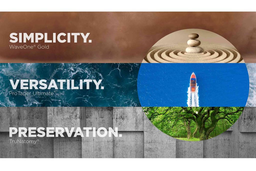 How to choose your endo solution - Dentistry