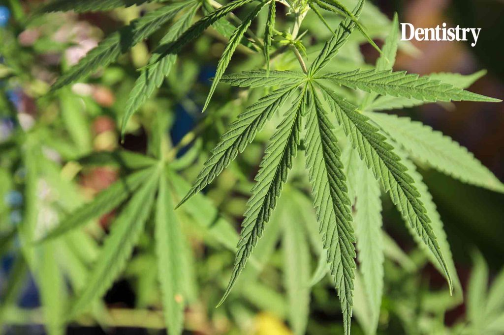 Cannabis use linked to head and neck cancer - Dentistry