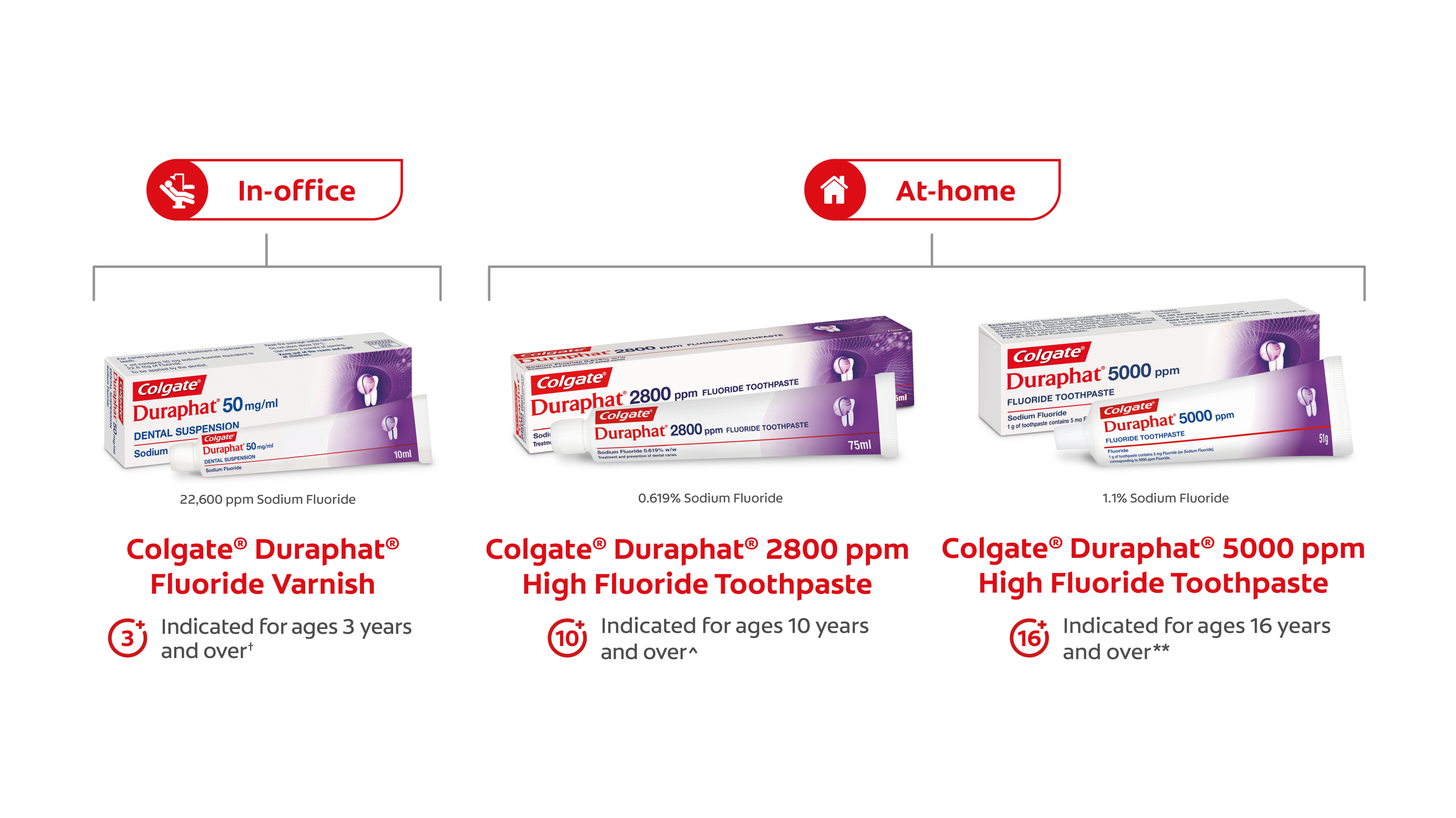 5311 Colgate Duraphat IMC Update 2024 Article Images C (1) - Dentistry ...