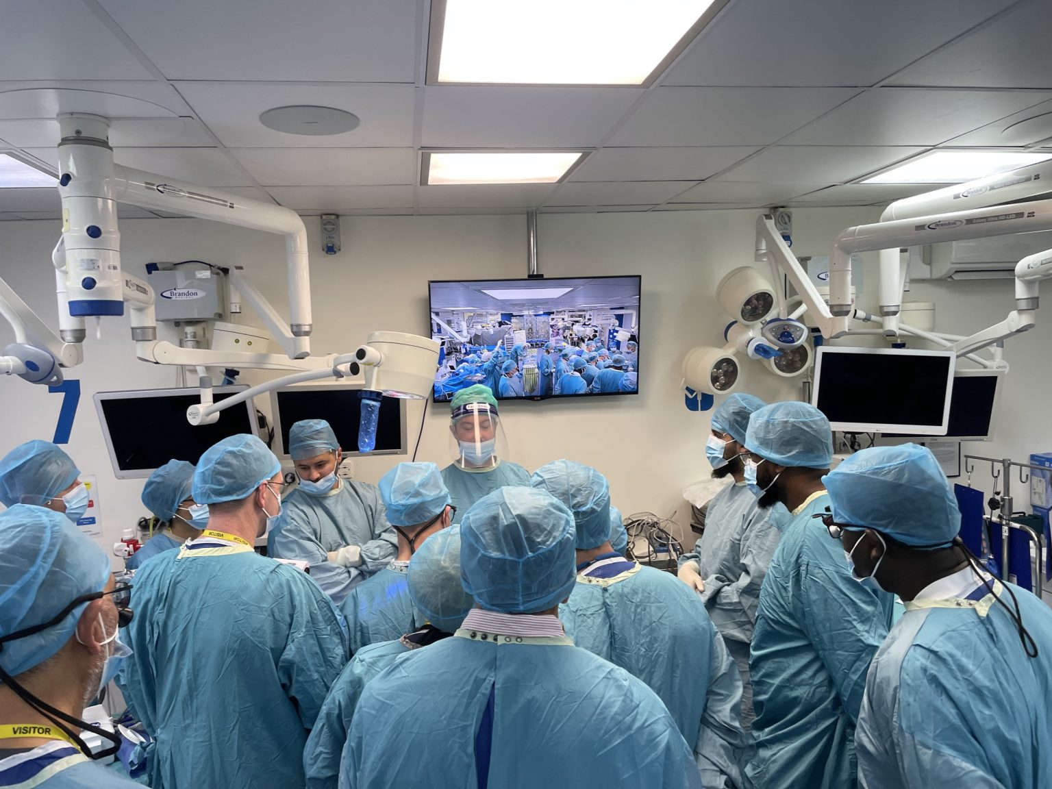 Implant dentistry: why cadaveric surgical training is crucial - Dentistry