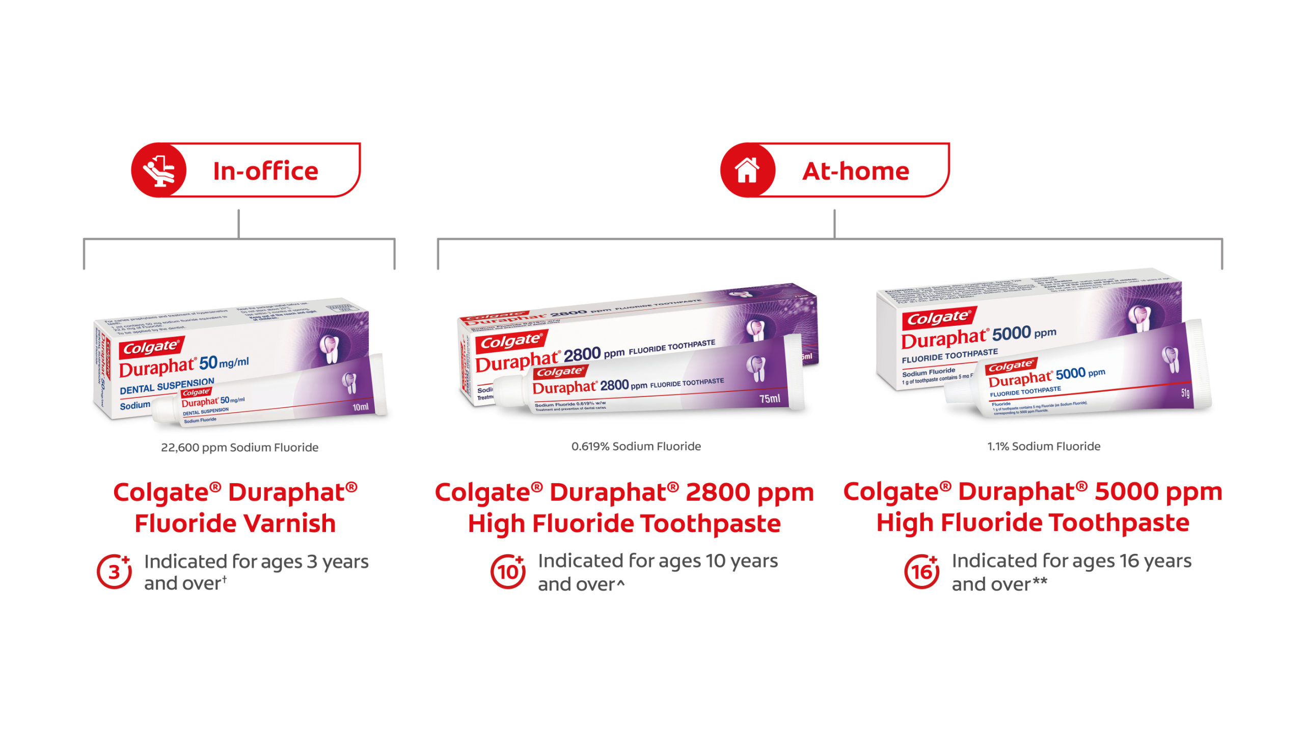 5311 Colgate Duraphat IMC Update 2024 Article Images C (2) - Dentistry ...